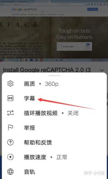 tiktok怎么翻译成中文图标
