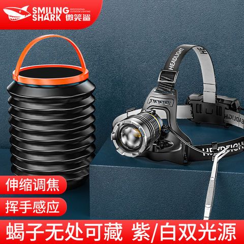 手机可以照出紫光灯吗图标