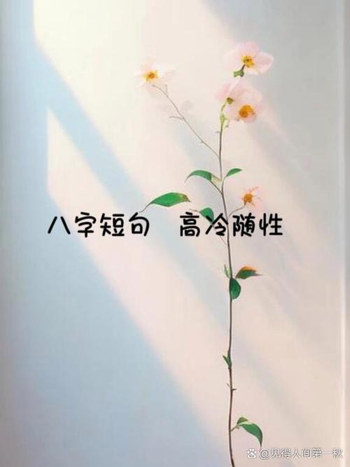 安之若素完整的八字句截图