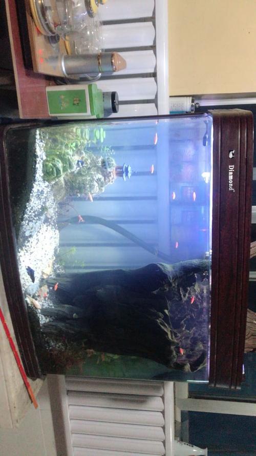 过滤桶声音大怎么解决方法图标