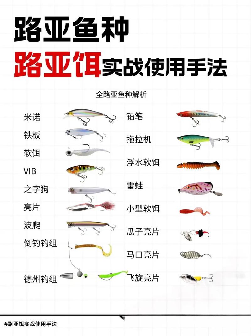 路亚玩法视频教学视频截图