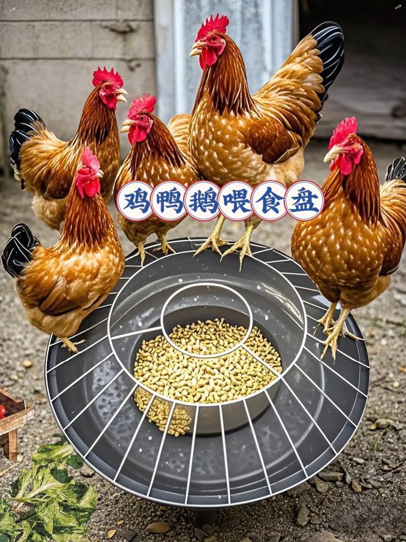 自制鸡自动喂食器图标