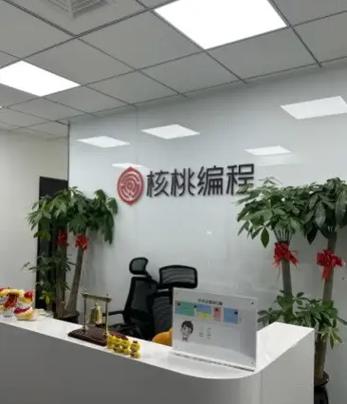 核桃编程怎么样靠谱吗