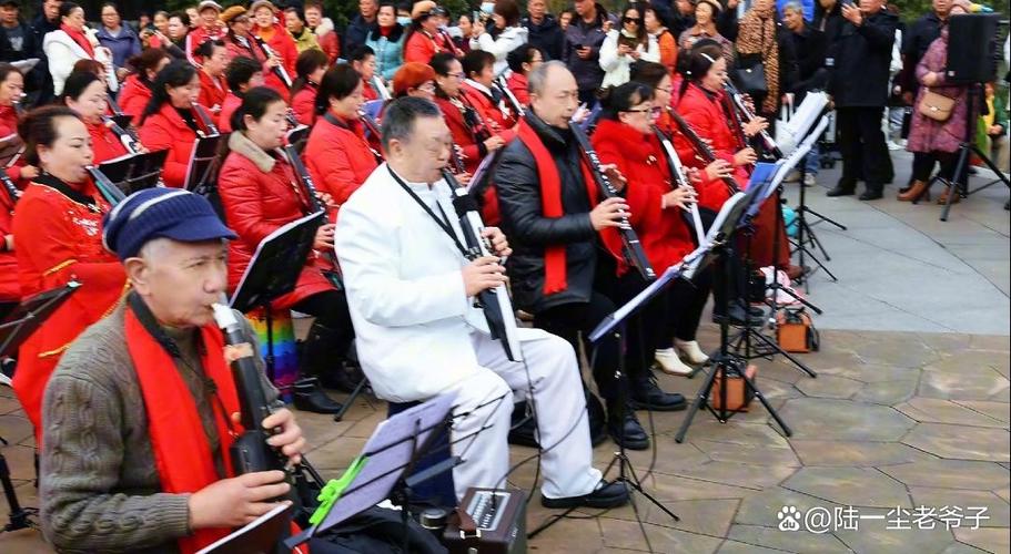 老年人吹电吹管对身体有影响吗截图