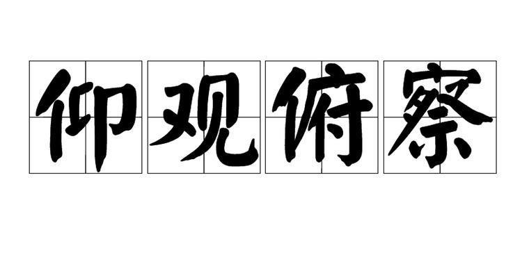 形容仔细观察的词语截图