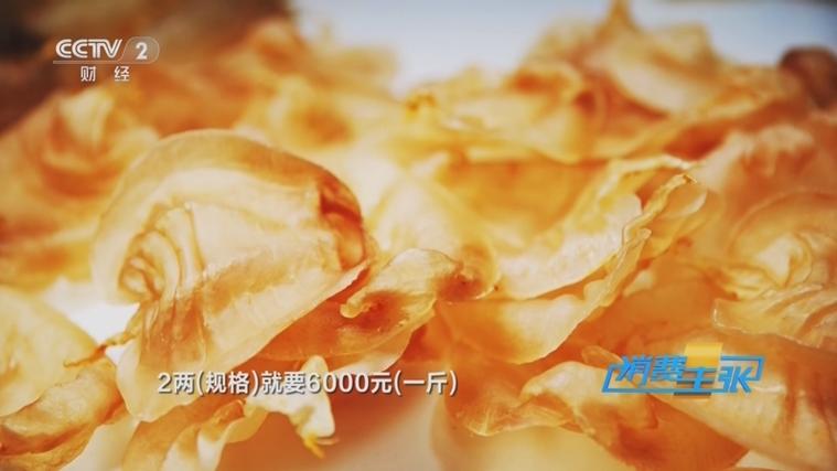 鱼胶越老越值钱吗图标