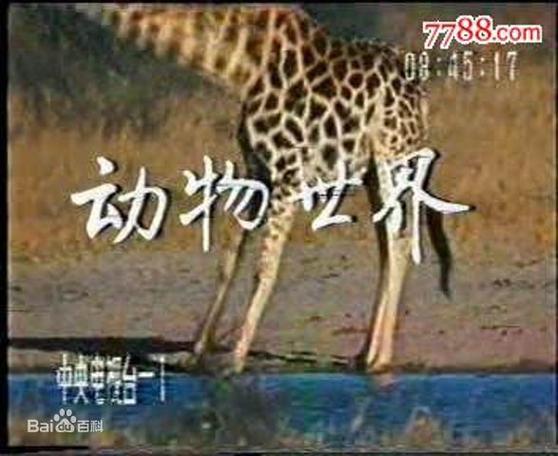 央视版动物世界图标