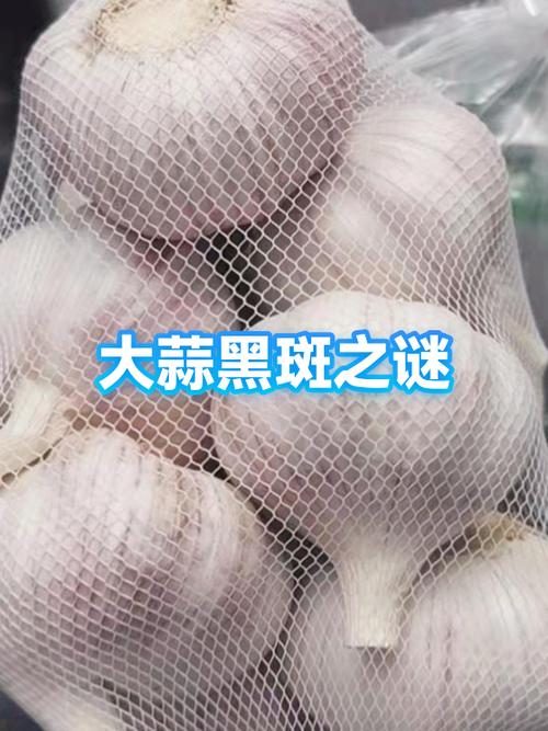 全身长斑点是什么原因引起图标