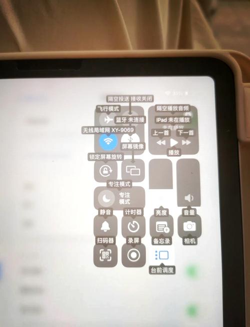 苹果ipad麦克风调节在哪里设置图标