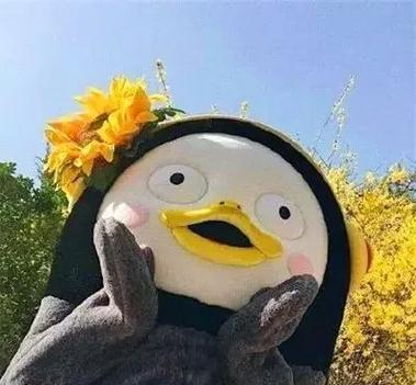 特别沙雕的四人头像