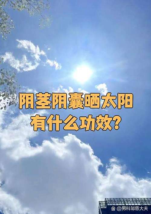 太阳带来的好处图标