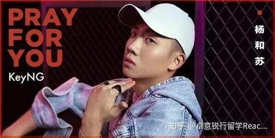 杨和苏哪个大学毕业的截图