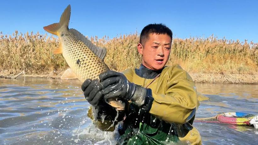 摸鱼东子视频图标