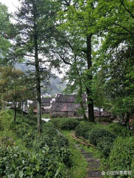 桃源山村山神传承图标