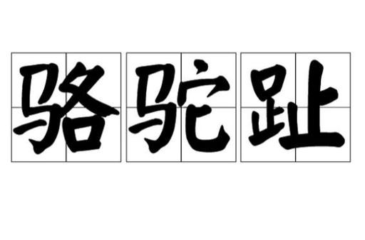 最近新骆驼趾采集图标