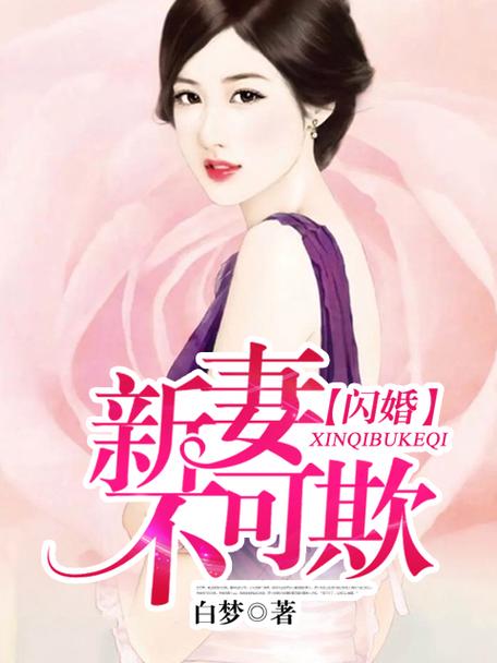 第1章 闪婚新妻图标