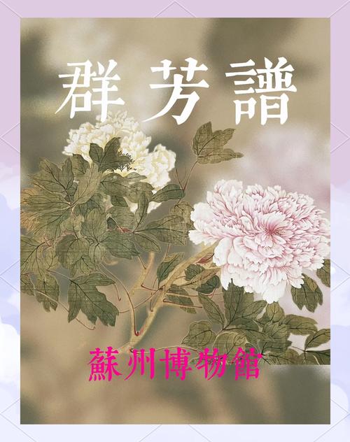 娇艳都市群芳谱TXT下载最新章节列表