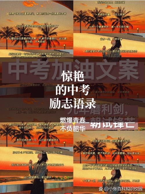 新新中考截图