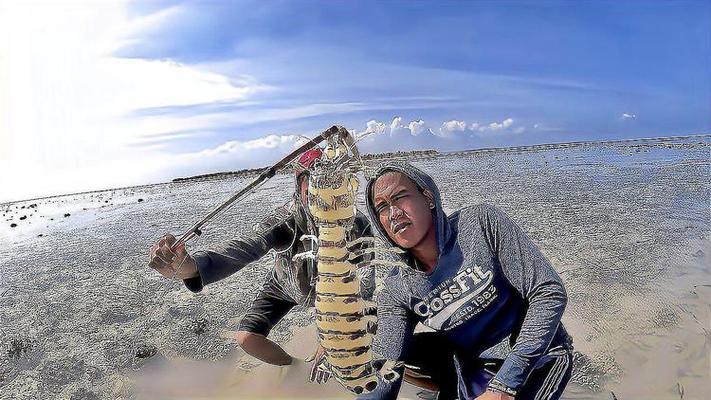抓皮皮虾视频图标