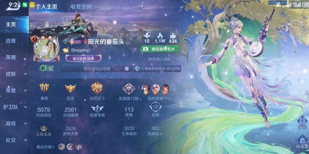 王者荣耀个人主页英雄不显示图标