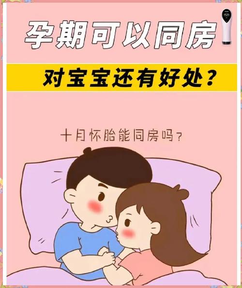 孕期可以同居吗图标