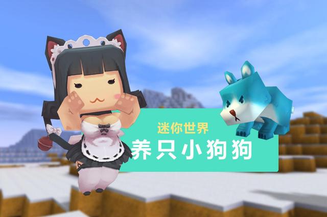 迷你世界怎么驯服猫图标