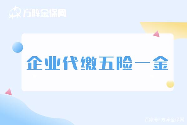 五险一金代缴公司截图