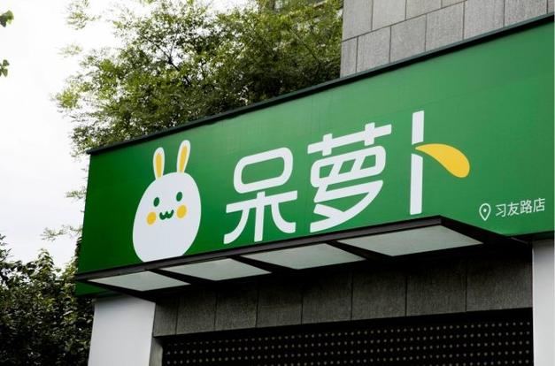 呆萝卜创始人简介图标