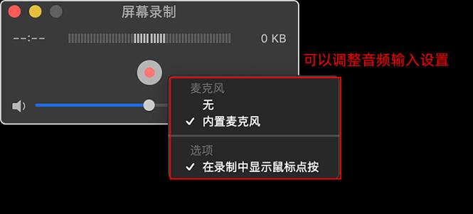 能录内音的录屏软件