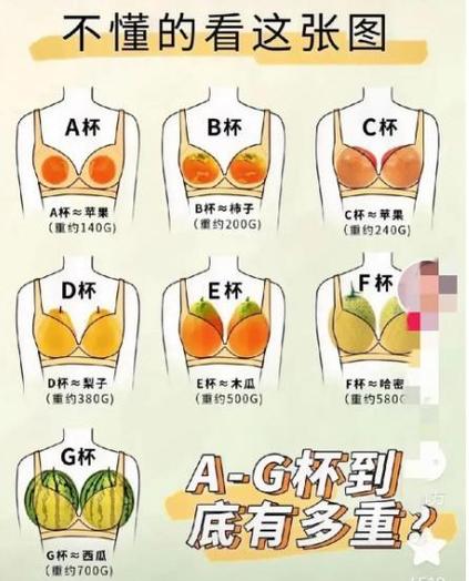 胸罩a罩杯大还是b罩杯大图标