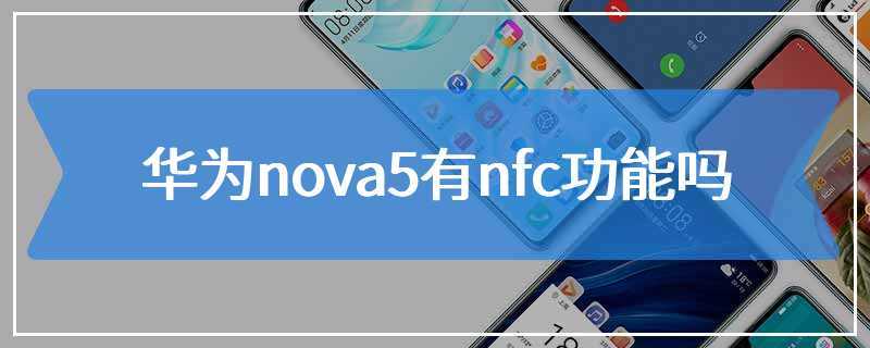 华为nova5可以扩展内存吗图标