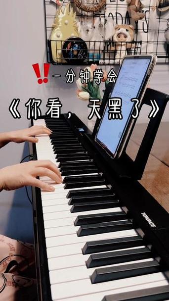 你看天黑了纯音乐