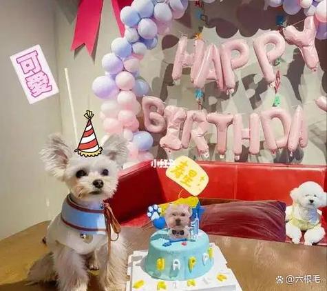 宠物party图标