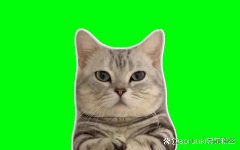 猫meme素材图标