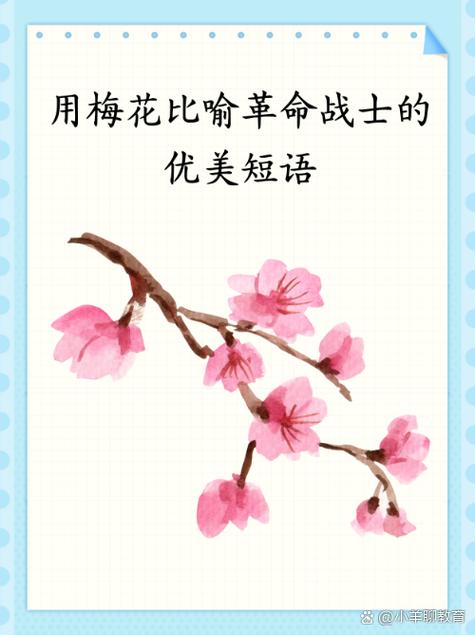 像荒野的花朵谁比谁寂寞