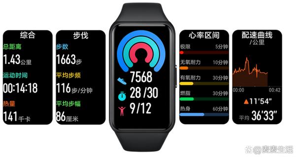 荣耀手环6有什么功能图标