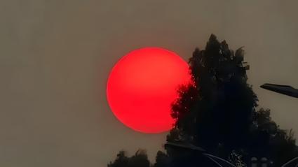 太阳最红毛主最亲徐艺图标