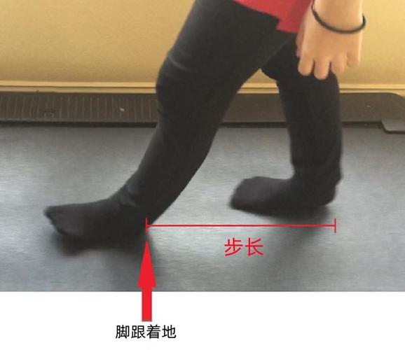 走路测量面积图标
