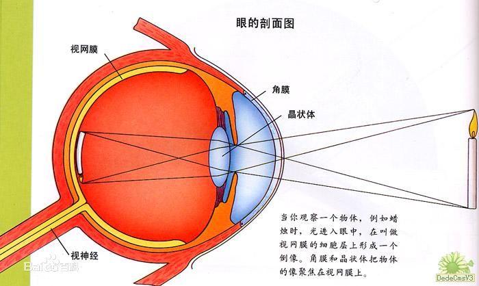 眼镜成的是虚像还是实像