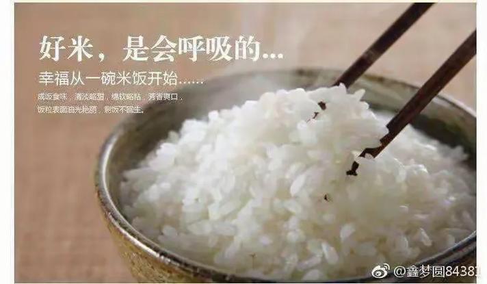 大米开门图标