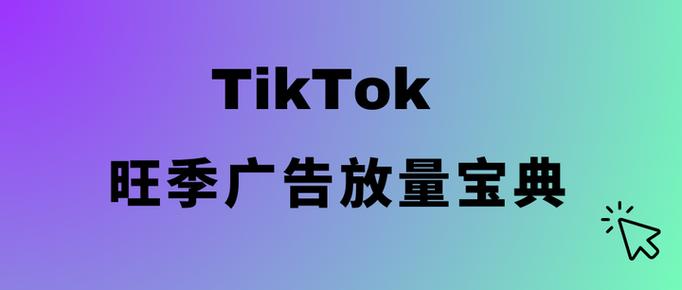 https://www.tiktok.cc怎么打开图标