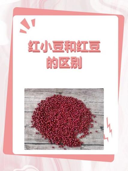红小豆的故事图标