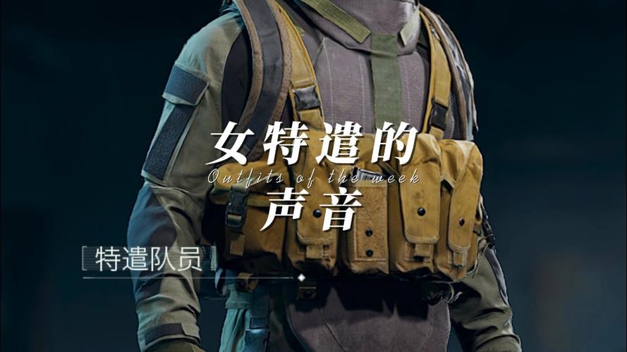 暗区突围女特遣受击音效图标