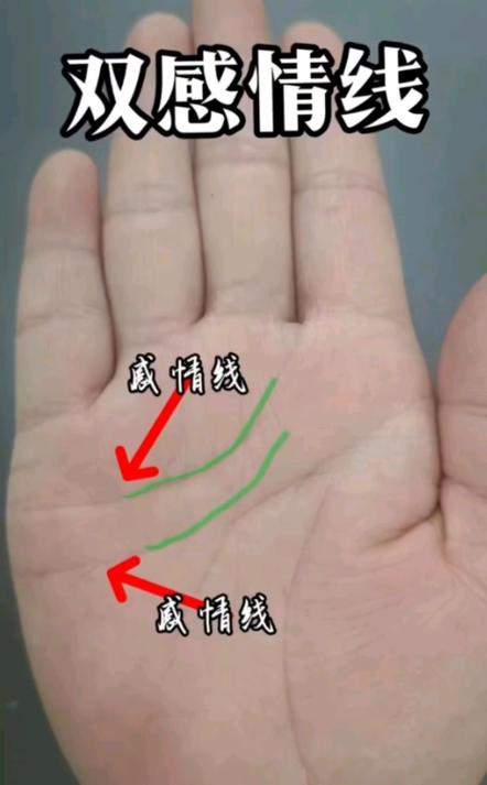 双重感情线图标