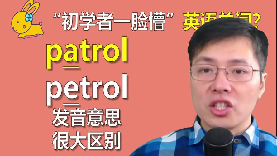 petrol怎么读截图