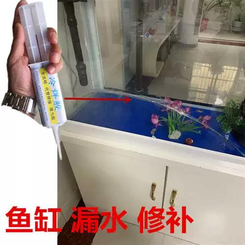 玻璃鱼缸裂纹漏水怎么修复截图