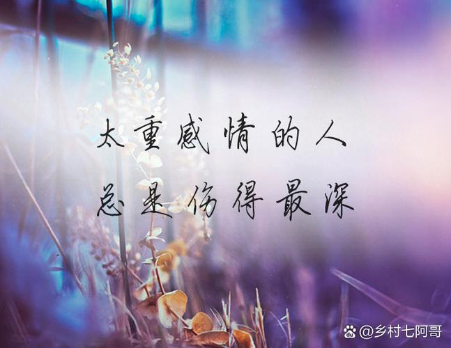 我不需要你的怜悯的句子图标