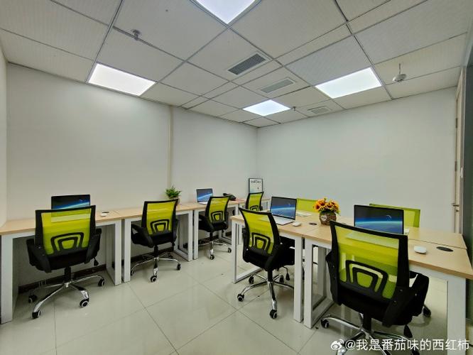 番茄公会是正规的吗截图