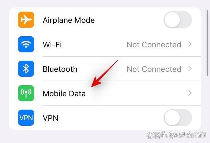 iphone隐藏ip地址图标