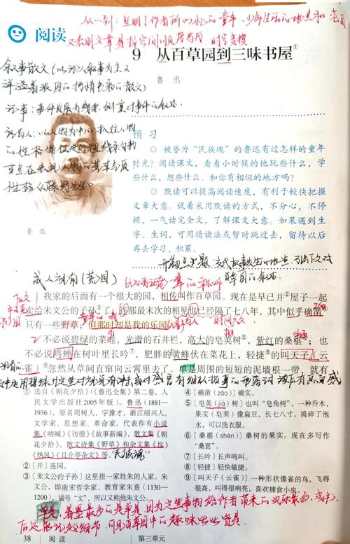 野牵牛阅读答案图标